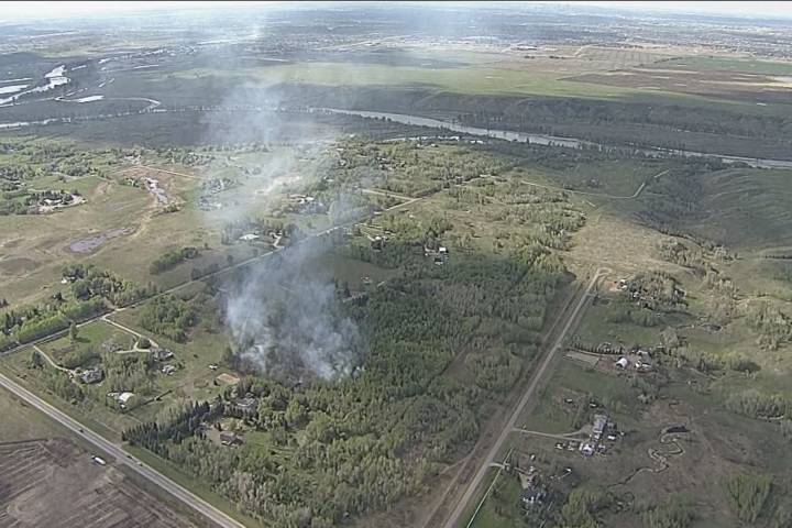 Poplar fluff a contributing factor to De Winton grass fire - Calgary ...