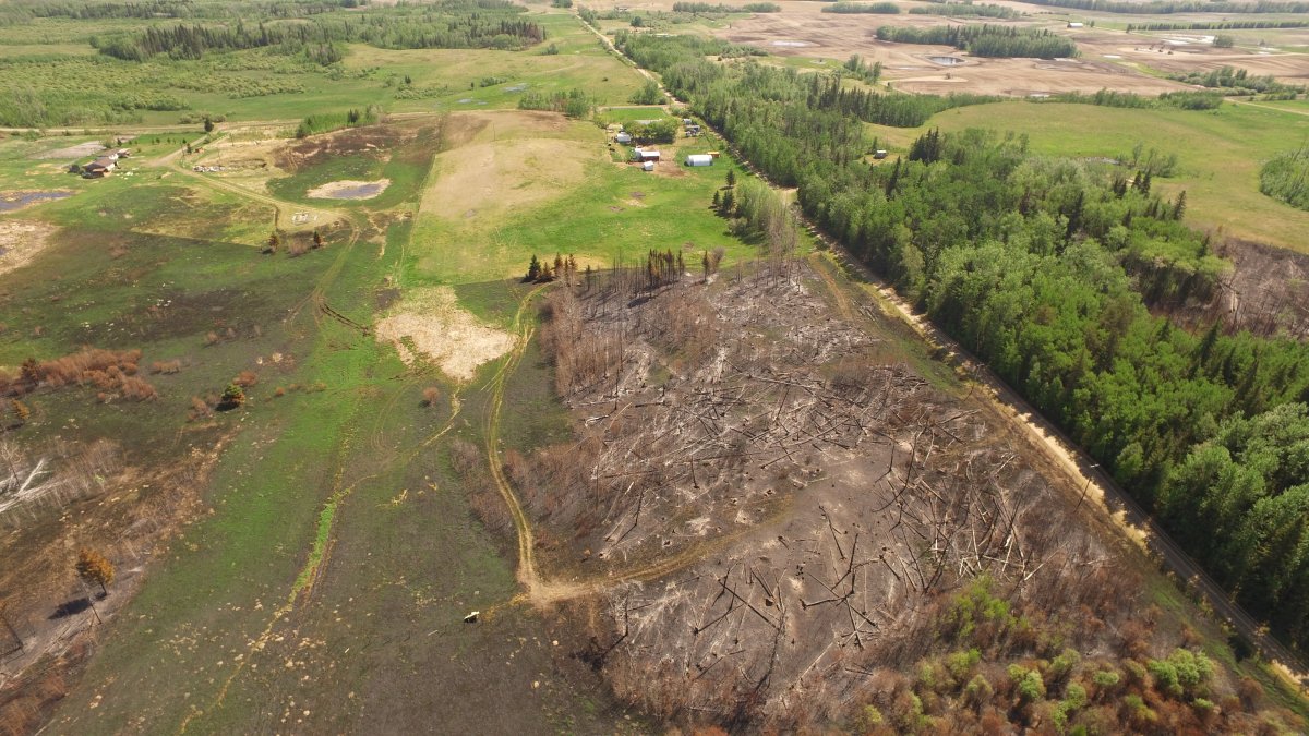 Recent wildfires spark surge of Fire Smart assessments in Strathcona ...