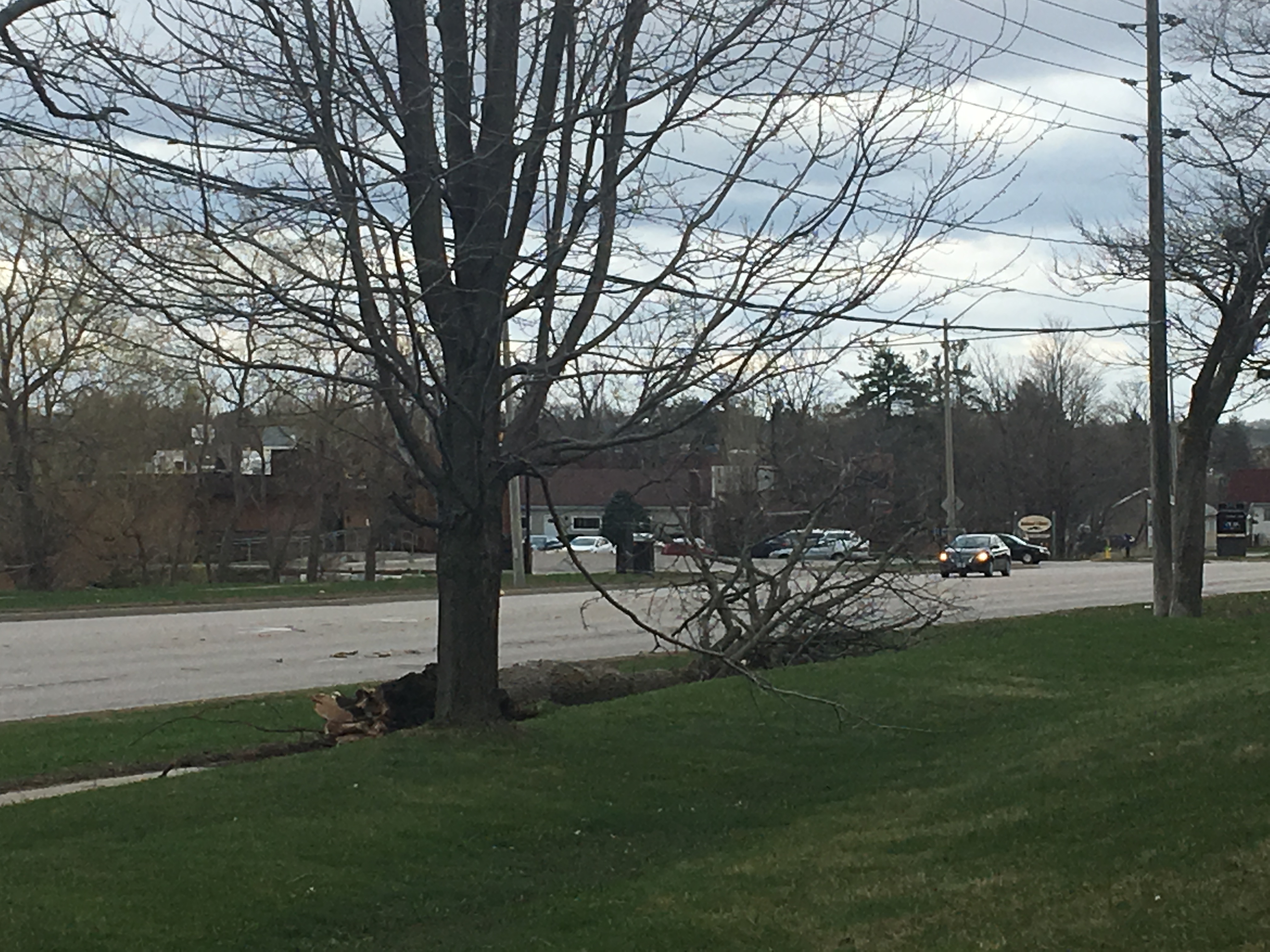 Cleanup continues in Barrie after severe wind storm caused damages city ...