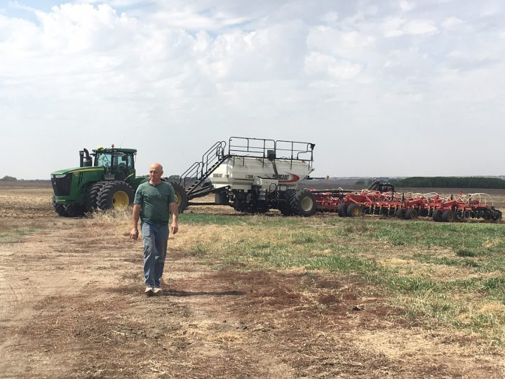 Your Agriculture: clubroot threat in Saskatchewan grows | Globalnews.ca