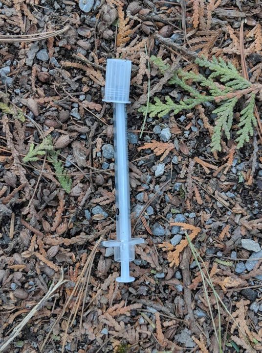 Discarded needles in London ball park threatens young players safety ...