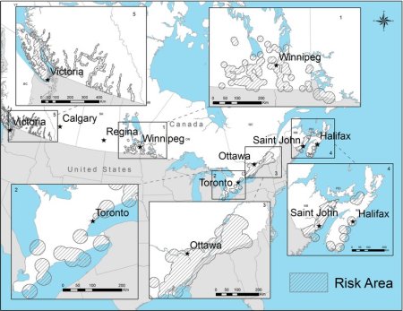 Tick forecast 2018: Experts predict more Lyme disease in Canada ...