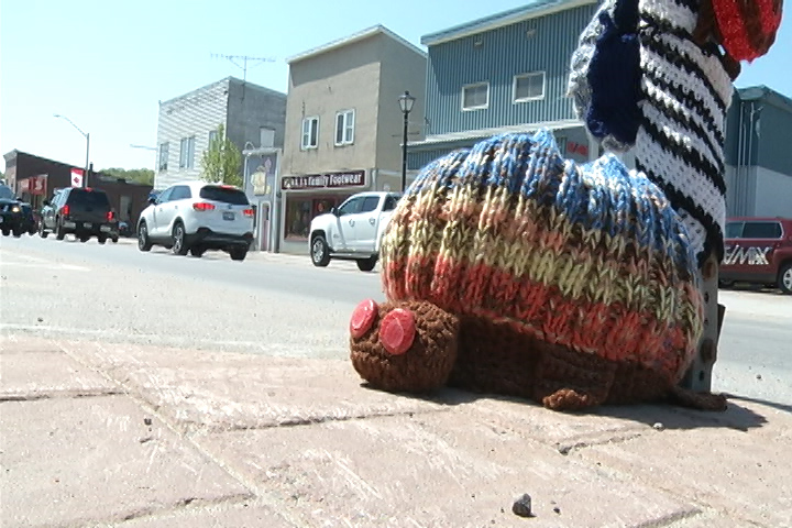 ‘Turtle bomb’ takes over downtown Bancroft - Peterborough | Globalnews.ca