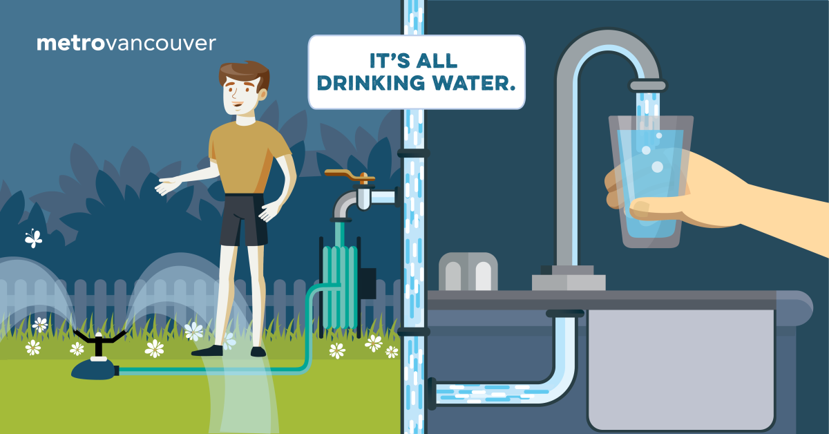 Easy ways to use a little less water this summer - BC | Globalnews.ca