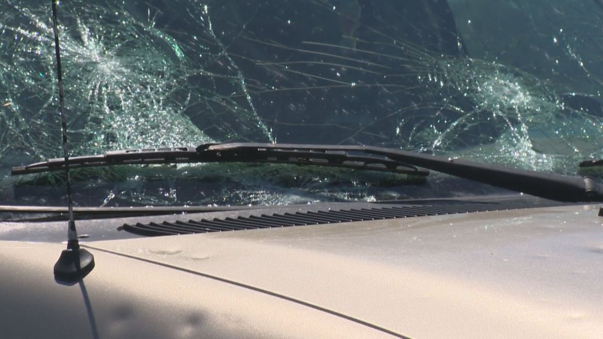 ‘It was like a gun shot’: residents near Ninette, Man. describe hail ...