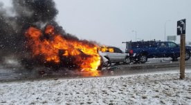 GlobalNews - Staff Personalities | Carole Anne Devaney