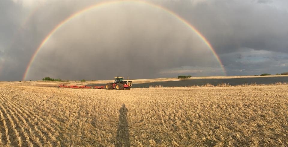 Your Saskatchewan – Regina: June 2018 - Regina | Globalnews.ca