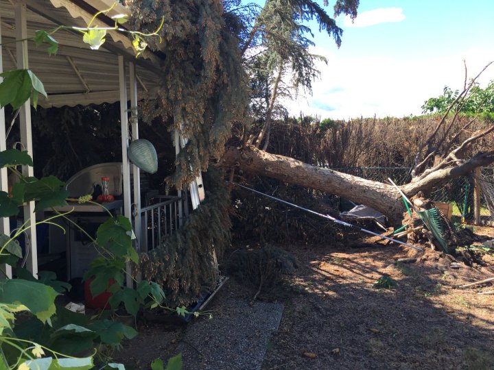 UPDATED: Wind storm hits the Okanagan | Globalnews.ca