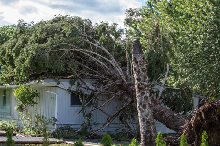 UPDATED: Wind storm hits the Okanagan | Globalnews.ca