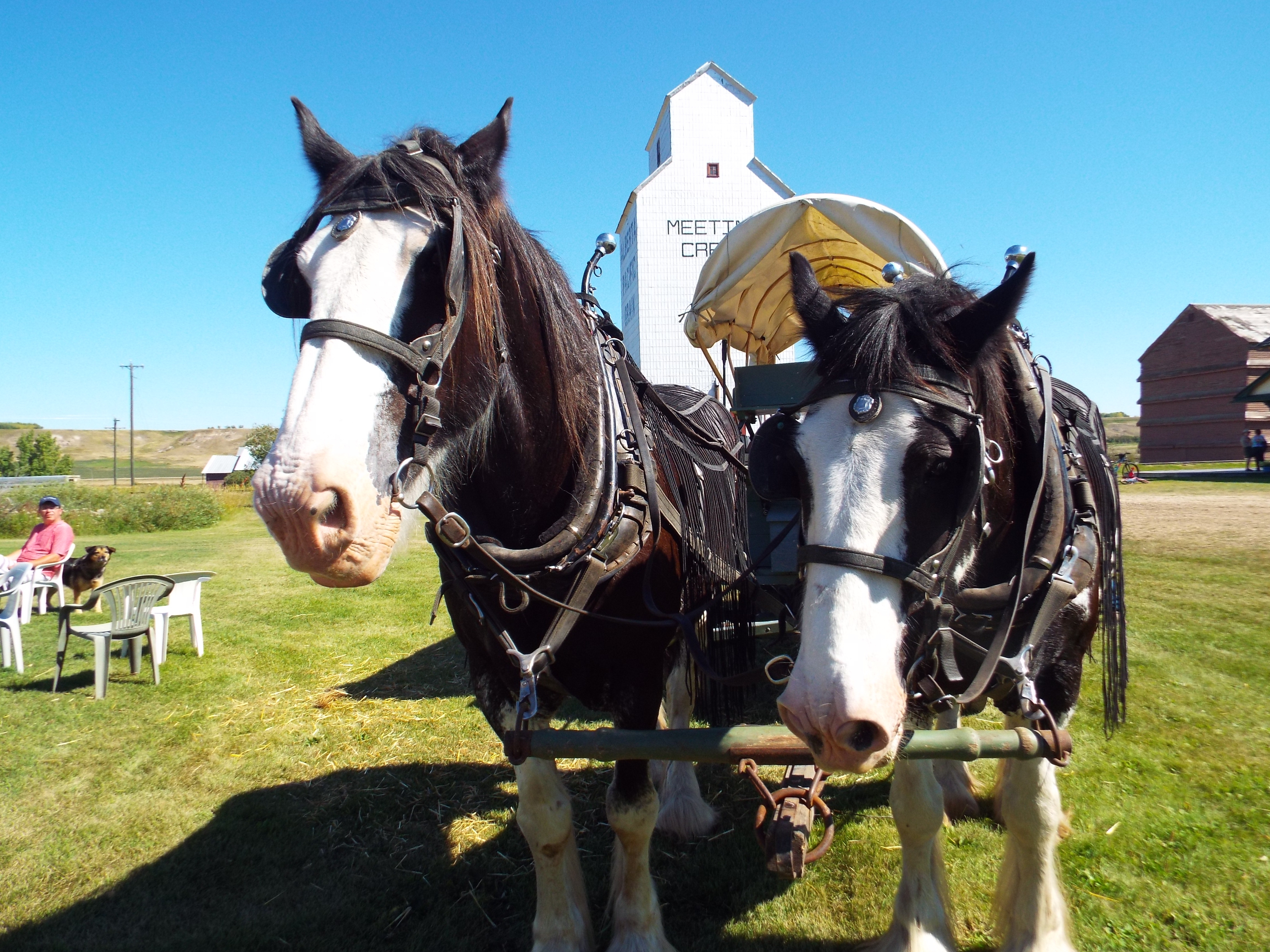 Prairie Fun Days - GlobalNews Events