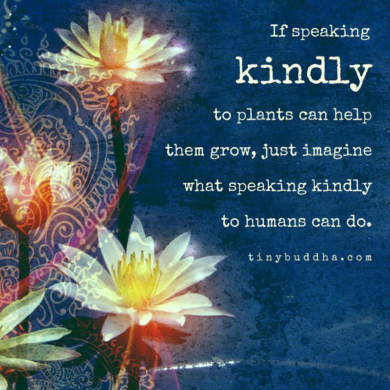 Kindness is Listening - GlobalNews Events