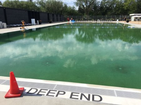 Borden Park natural swimming pool to open Wednesday - Edmonton ...