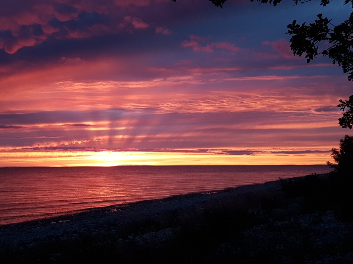 Best of ‘Your Manitoba’ in June 2018 - Winnipeg | Globalnews.ca