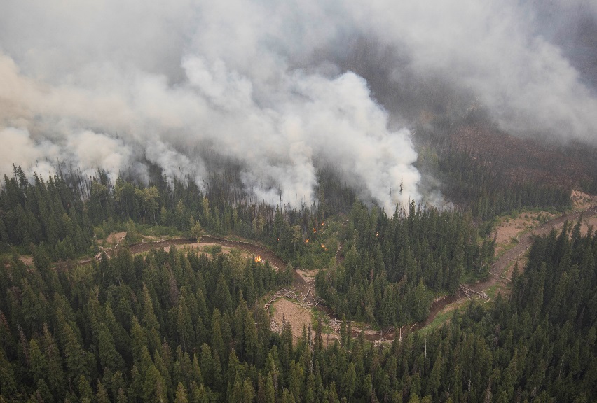 Slight wildfire growth near Waterton as evacuation alert remains in ...