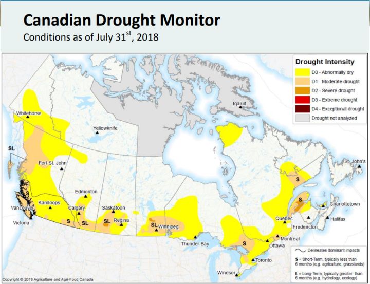 Perennially dry conditions should be a concern for southern Alberta ...