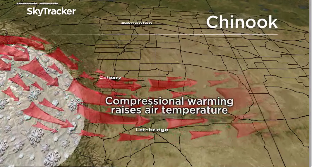 Will Alberta see more Chinooks this winter because of El Niño ...