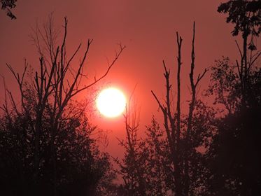 ‘We’re in serious trouble’: concern growing over massive wildfires ...