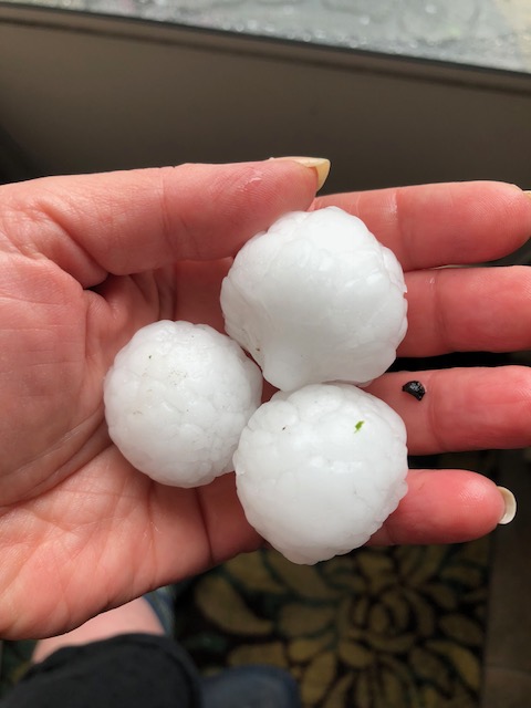 Hail, strong winds hit Calgary as severe thunderstorm rolls through ...