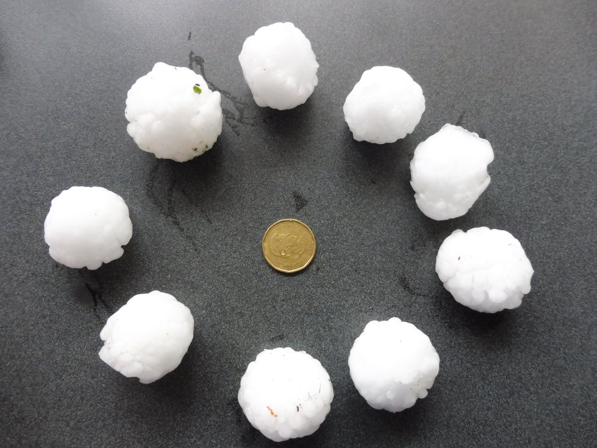 Hail, strong winds hit Calgary as severe thunderstorm rolls through ...