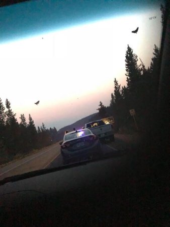 6 people killed in crash south of Jasper | Globalnews.ca