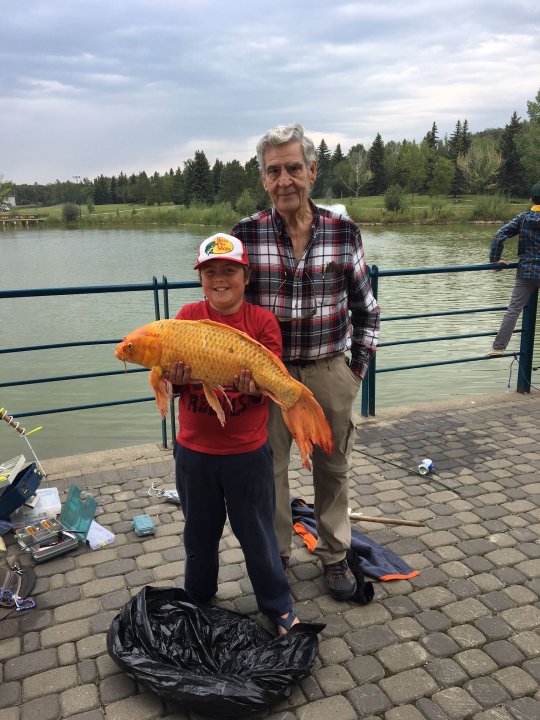 Alberta boy catches 16-pound koi in St. Albert lake: ‘That’s way ...