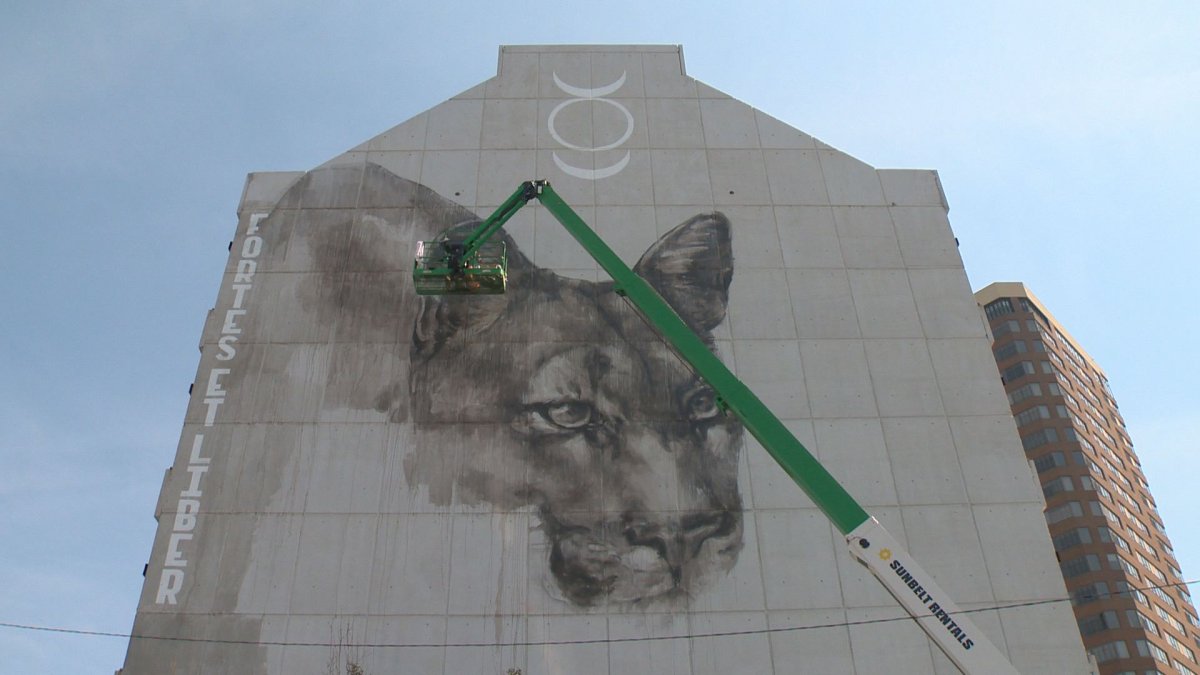 Artists come together to beautify Calgary’s Beltline - Calgary ...