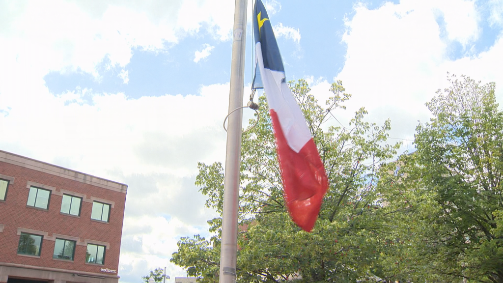 New Brunswickers show off Acadian colours for National Acadian Day ...