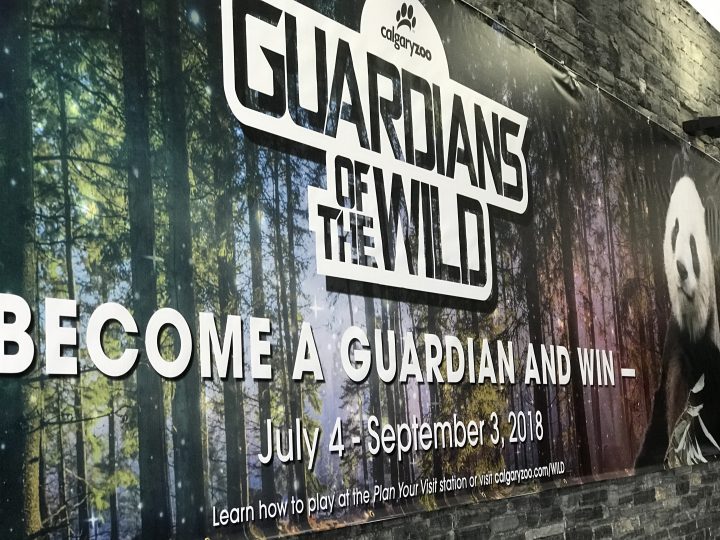 Calgary Zoo’s ‘Guardians of the Wild’ aids in wildlife conservation ...