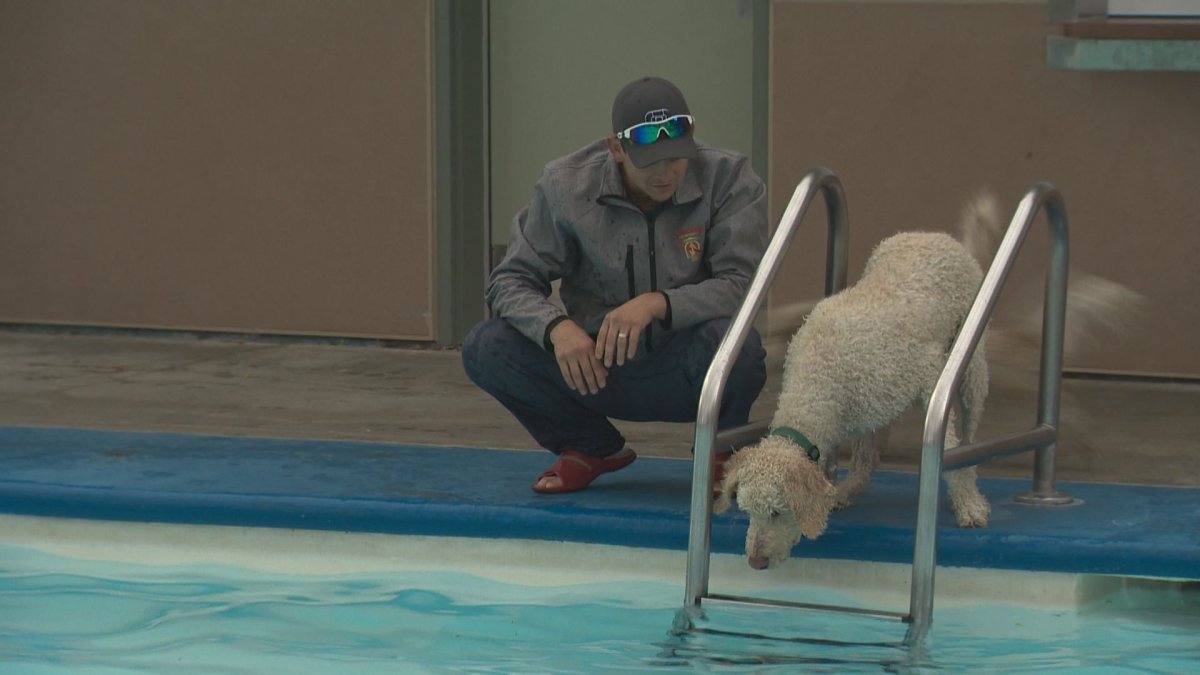 IN PHOTOS: Dog days of summer go out with a splash in St. Albert ...