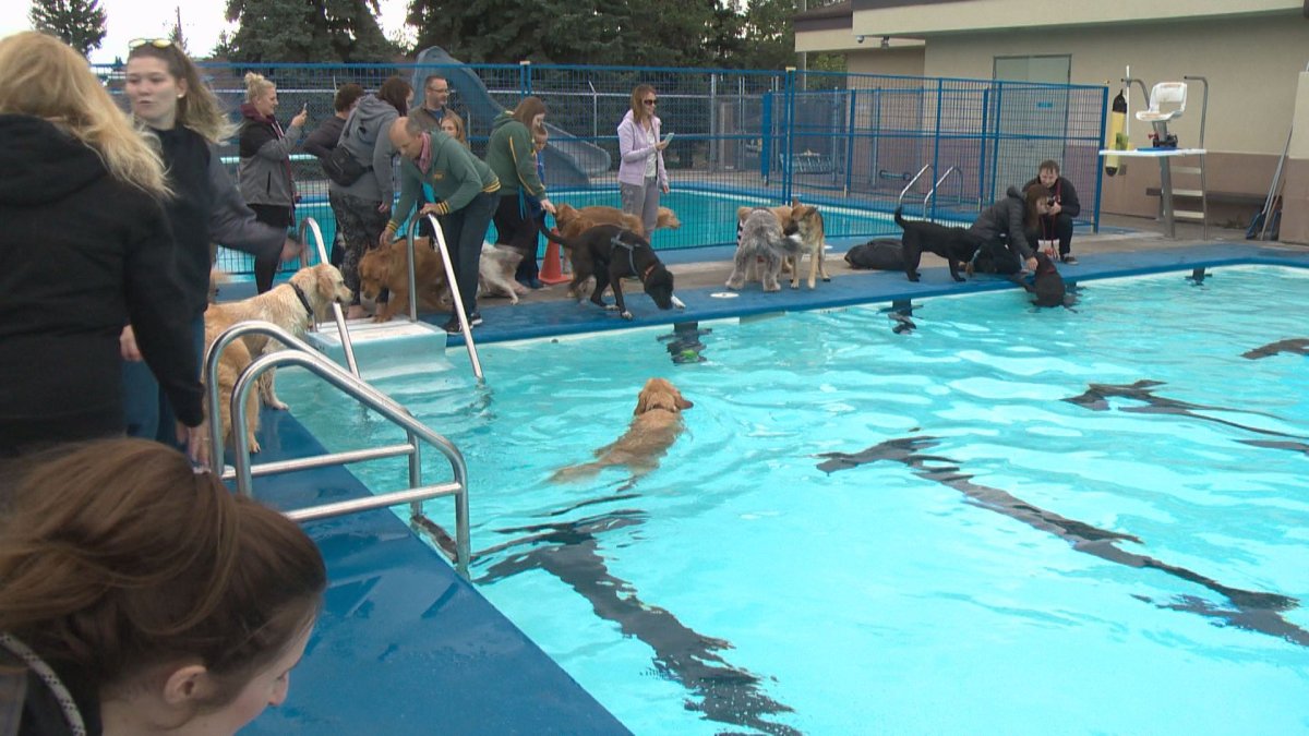 IN PHOTOS: Dog days of summer go out with a splash in St. Albert ...