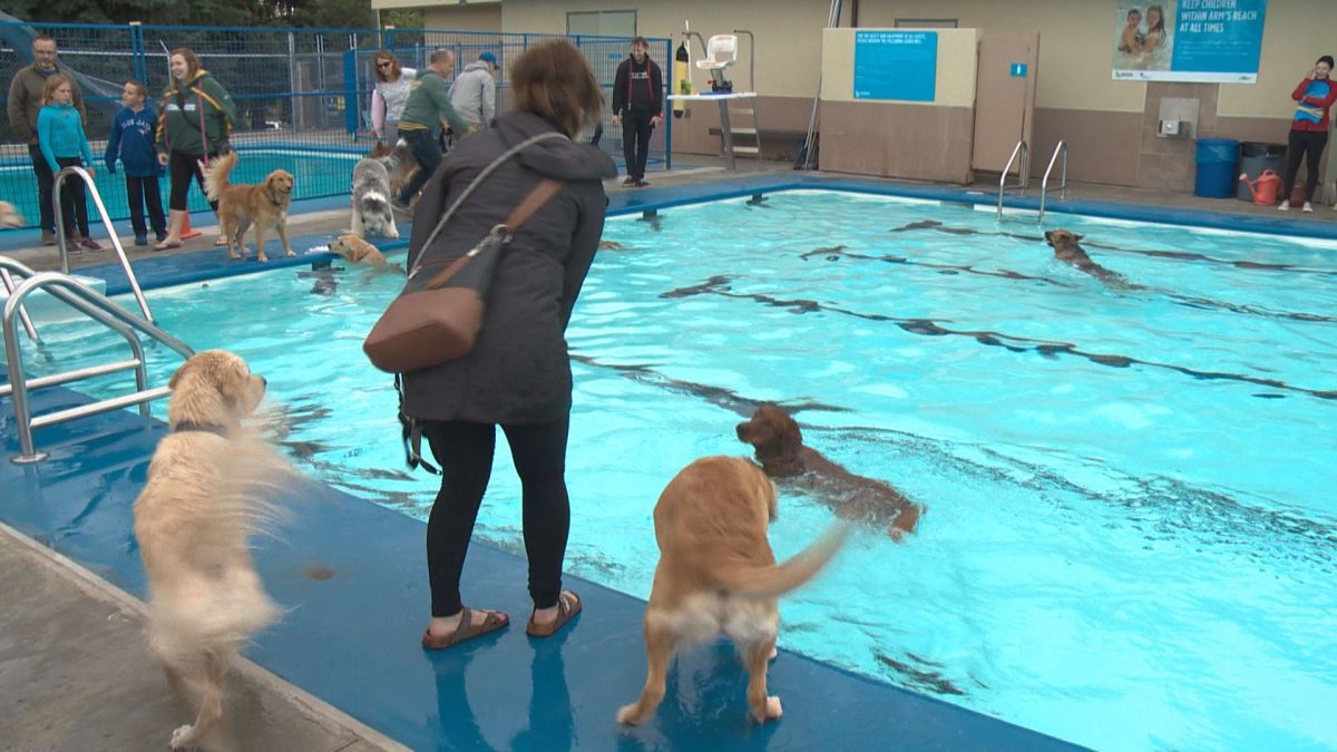 IN PHOTOS: Dog days of summer go out with a splash in St. Albert ...
