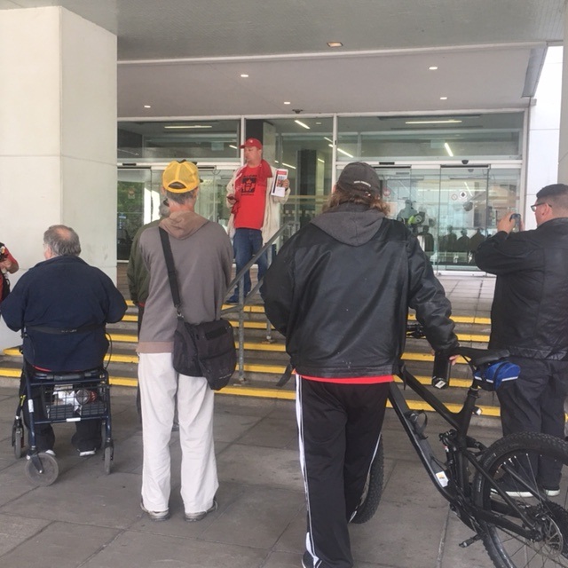 Cockroaches, bedbugs commonplace according to survey of Hamilton ...