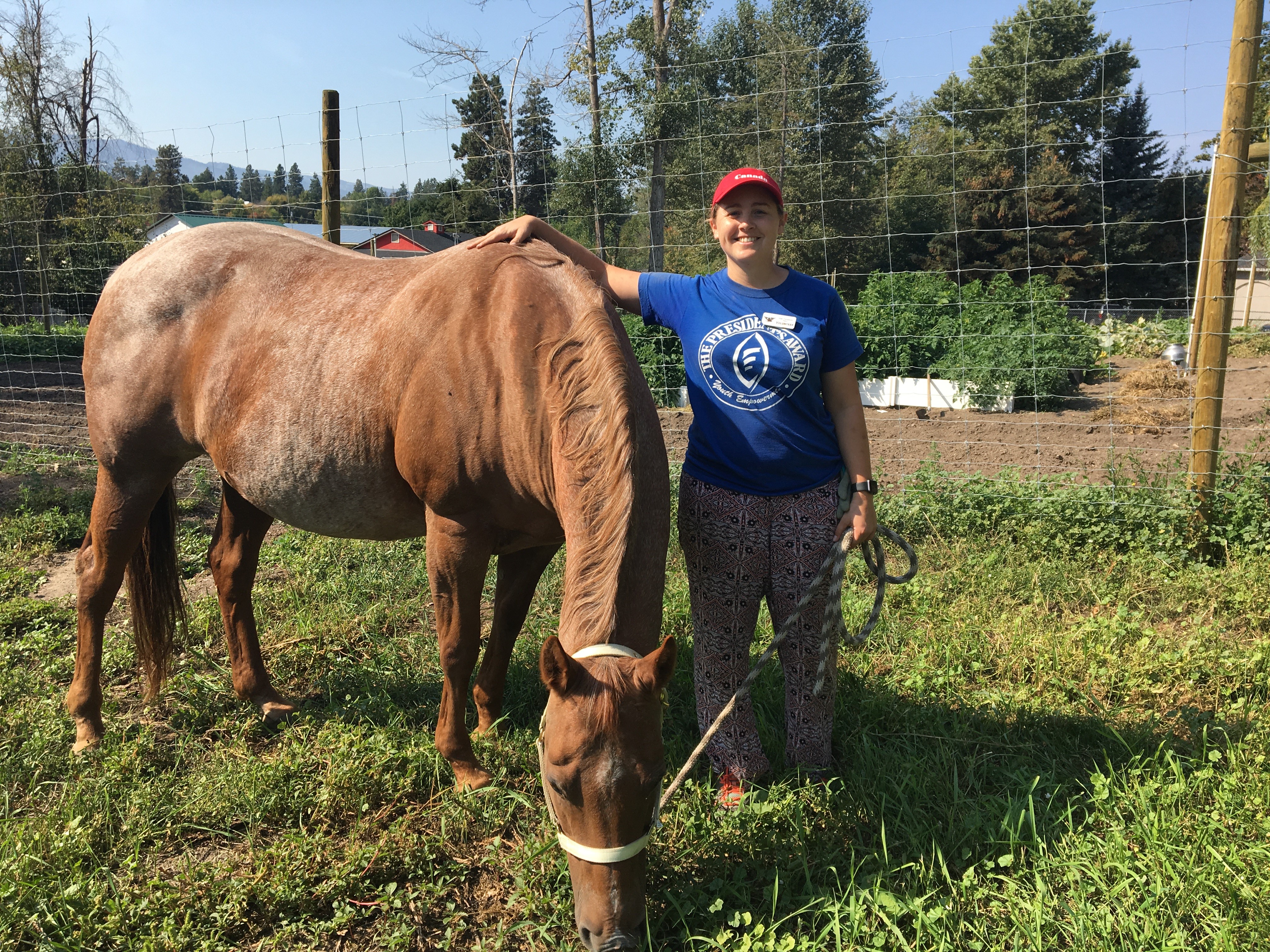 It takes a village to keep therapeutic farm thriving in Kelowna ...
