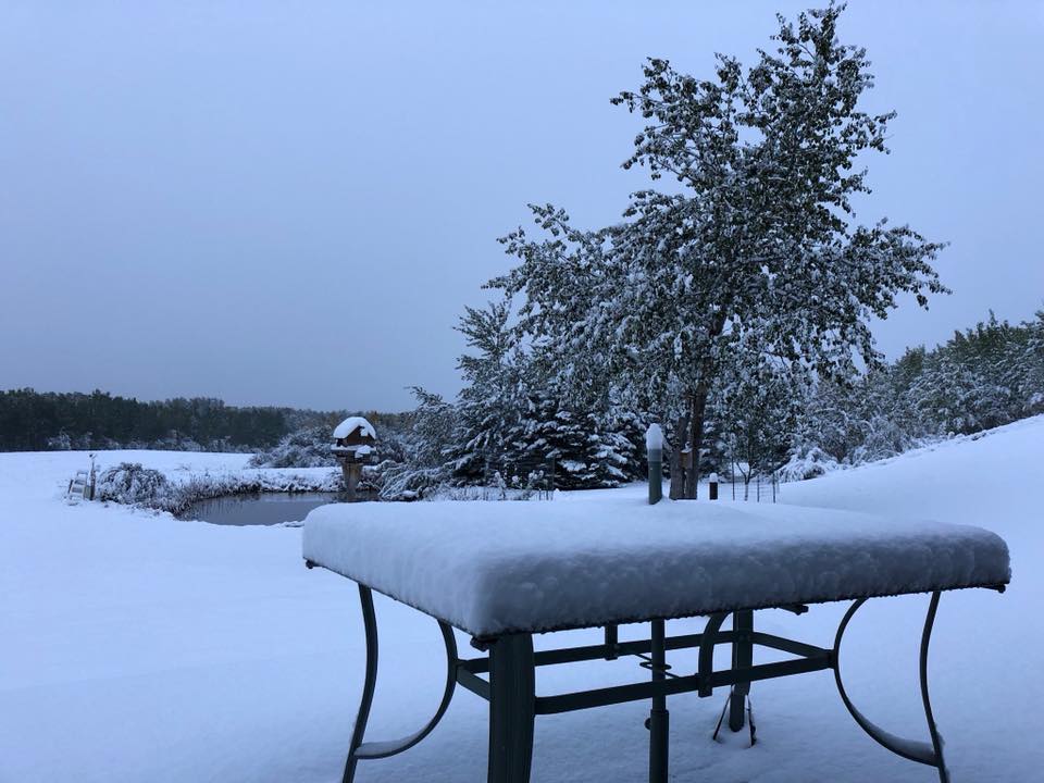 Say it ain’t snow! Northern Alberta wakes up to winter weather ...