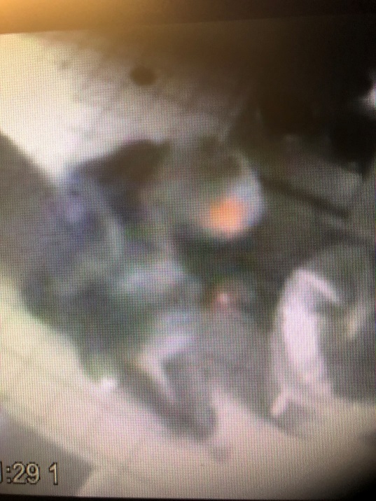 Halton police searching for suspect after robbery at Oakville Burger ...