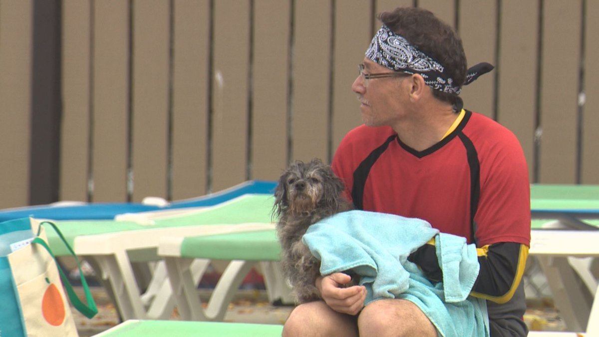 In Photos: Oliver Pool goes to the dogs for a good cause - Edmonton ...