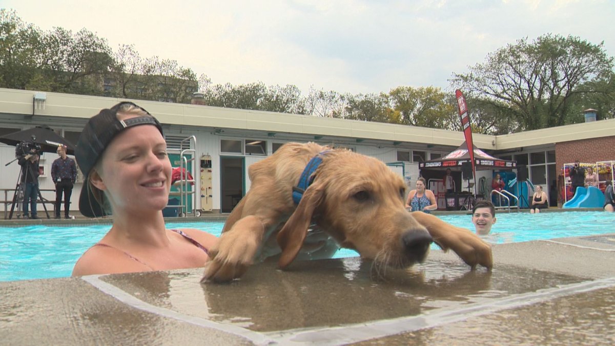 In Photos: Oliver Pool goes to the dogs for a good cause - Edmonton ...