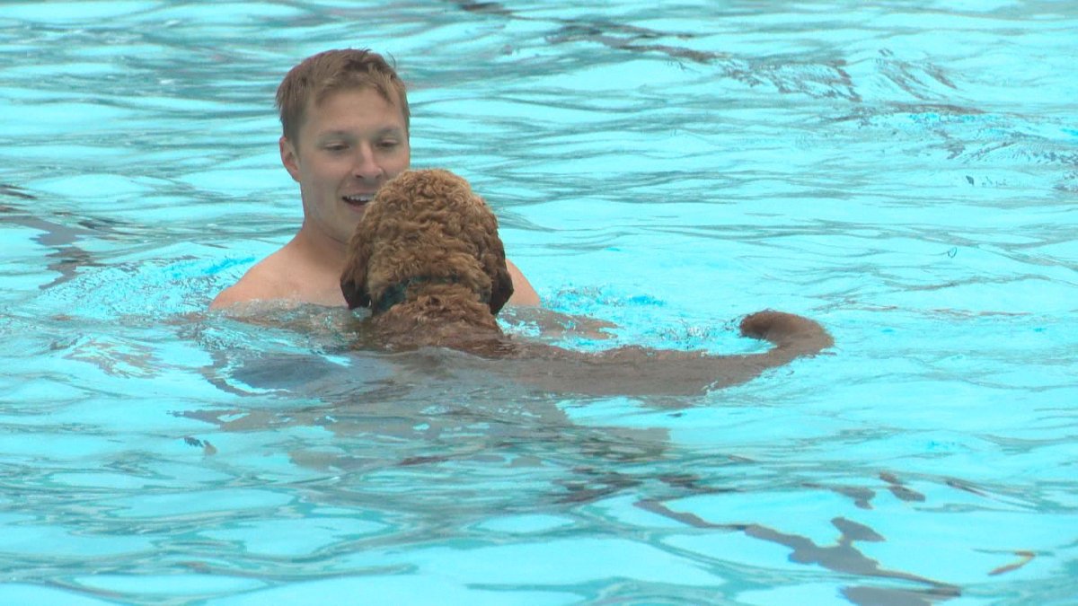 In Photos: Oliver Pool goes to the dogs for a good cause - Edmonton ...