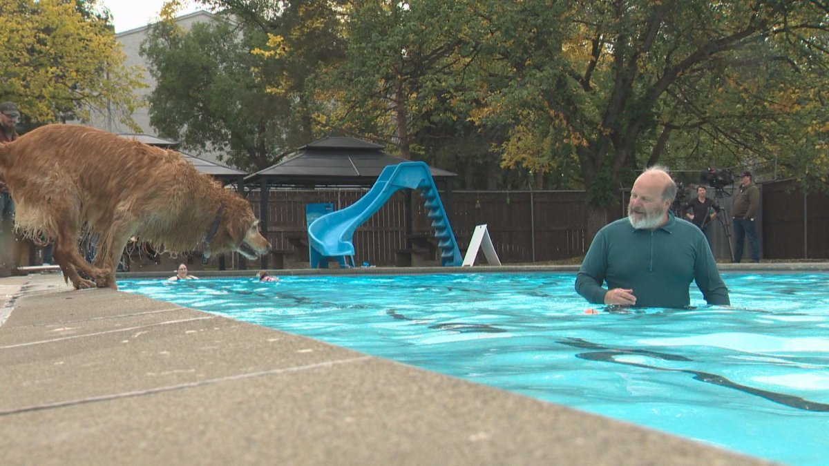 In Photos: Oliver Pool goes to the dogs for a good cause - Edmonton ...