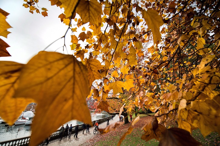 Fall weather forecast: What Canadians can expect from coast to coast ...