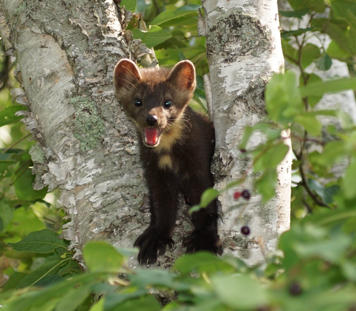 Best of ‘Your Manitoba’ in August 2018 - Winnipeg | Globalnews.ca