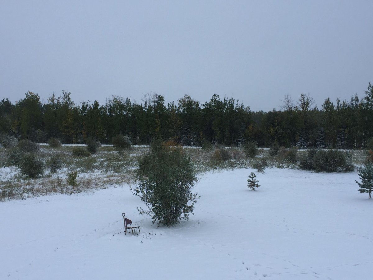 Say it ain’t snow! Northern Alberta wakes up to winter weather ...