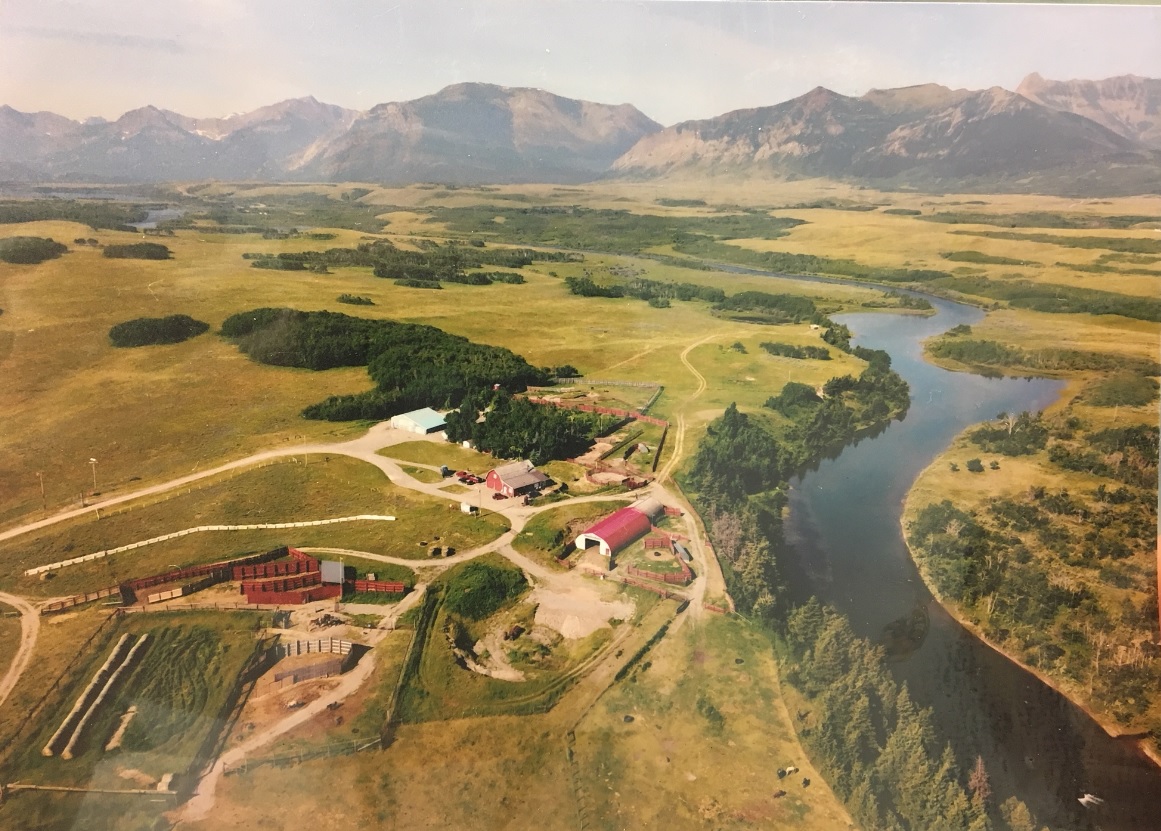 Rocking Heart Ranch continues rebuild after Kenow fire - Lethbridge ...