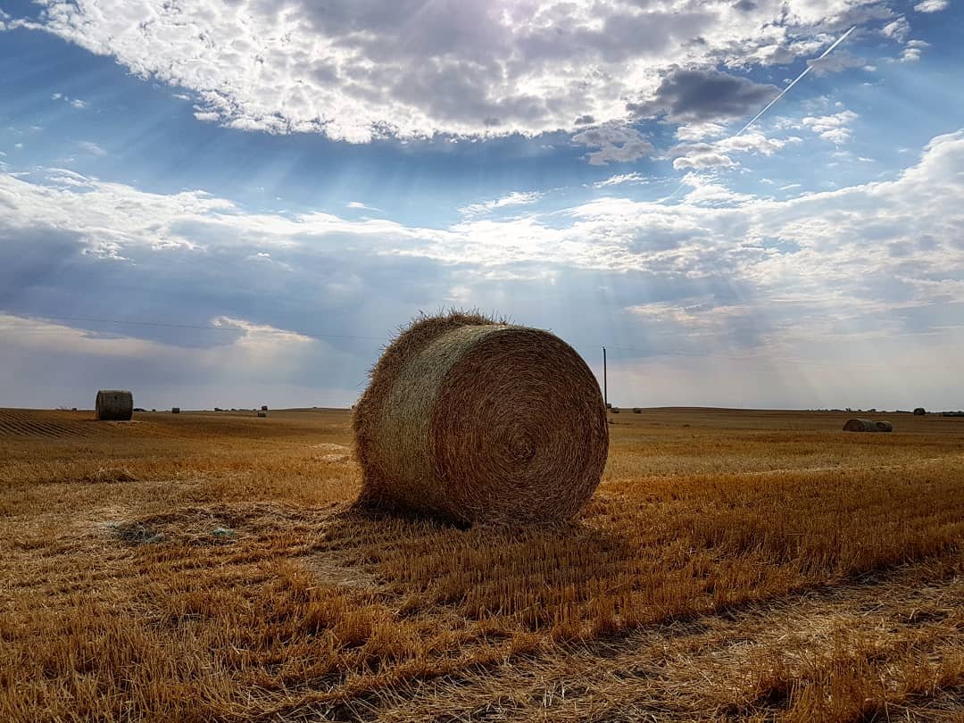 Your Saskatchewan – Regina: September 2018 | Globalnews.ca