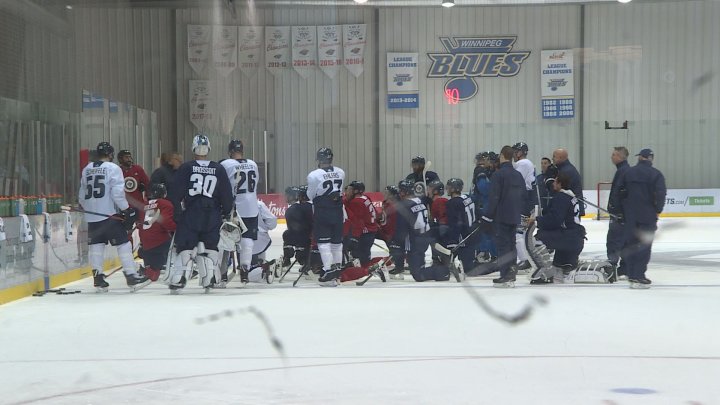 Jets fans flock to Bell MTS Iceplex for Fan Fest - Winnipeg | Globalnews.ca