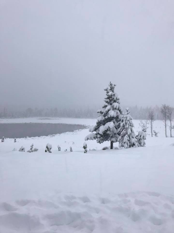 Snowfall warning for parts of B.C. as bursts of heavy snow expected ...