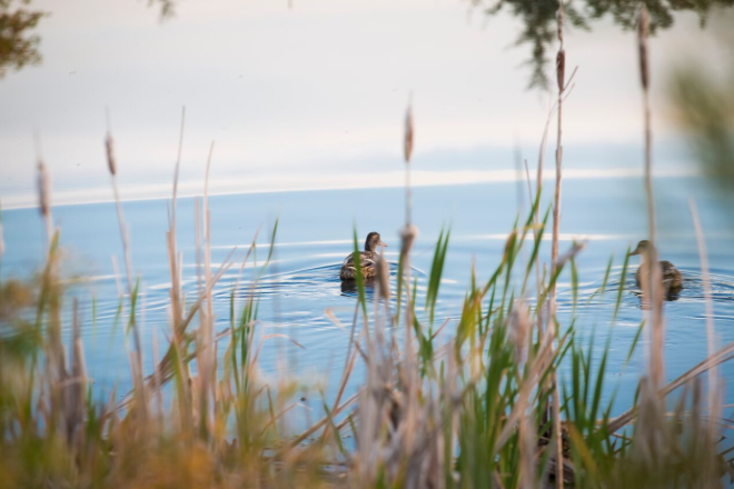 Saskatoon’s Aspen Ridge neighbourhood a model for smart urban planning ...
