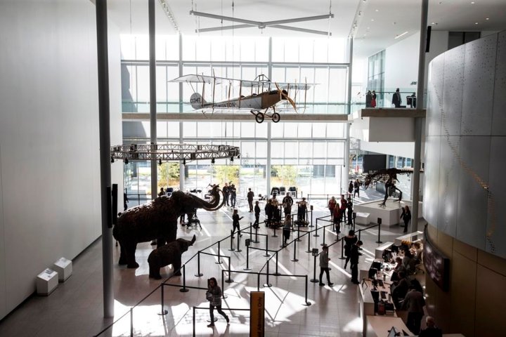 Record-setting 1st year at new downtown Edmonton home for Royal Alberta ...