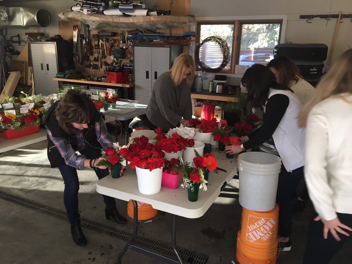 Edmonton non-profit spreads ‘sunshine and happiness’ through flower ...