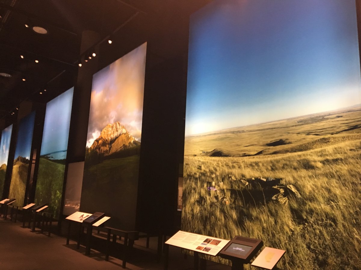 Pictures and video explore the exhibits at Edmonton’s brand new Royal ...